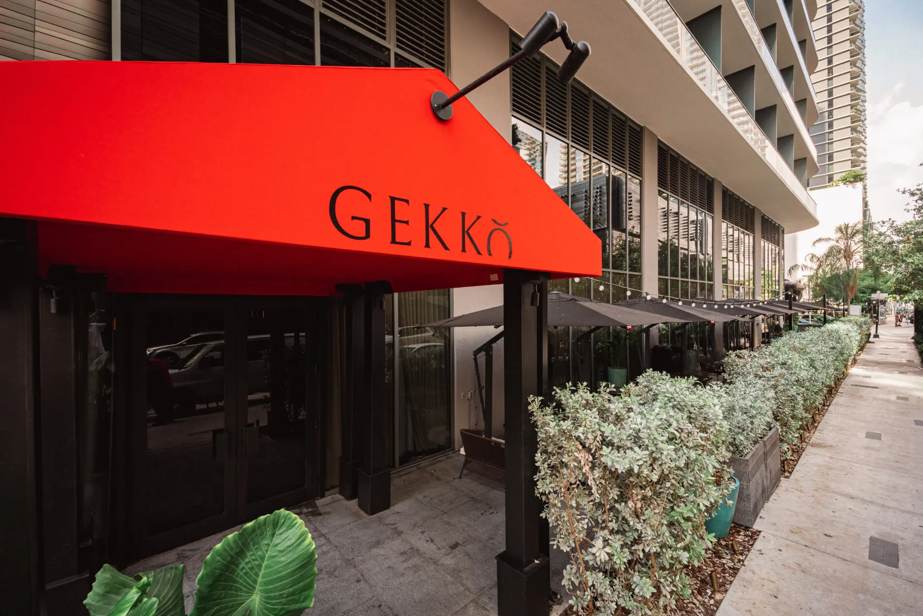 Gekko Project by Poggesi® USA